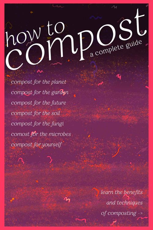 Compost: how to make compost for a sustainable garden (complete guidelines)