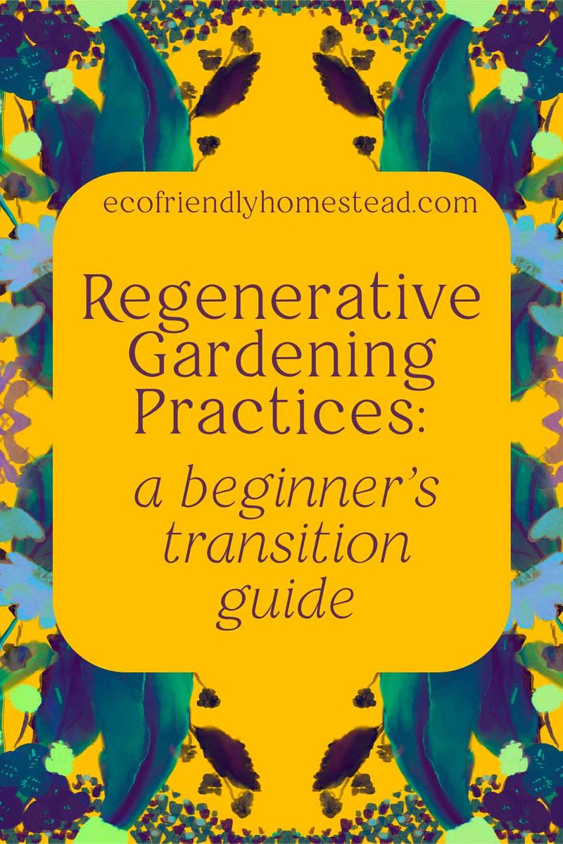 A Beginner’s Guide to Regenerative Gardening: Where to Start