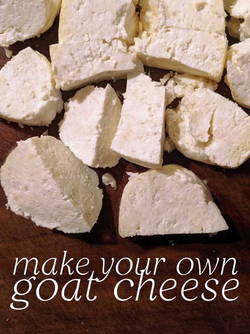Homemade goat cheese recipe (no special equipment needed)