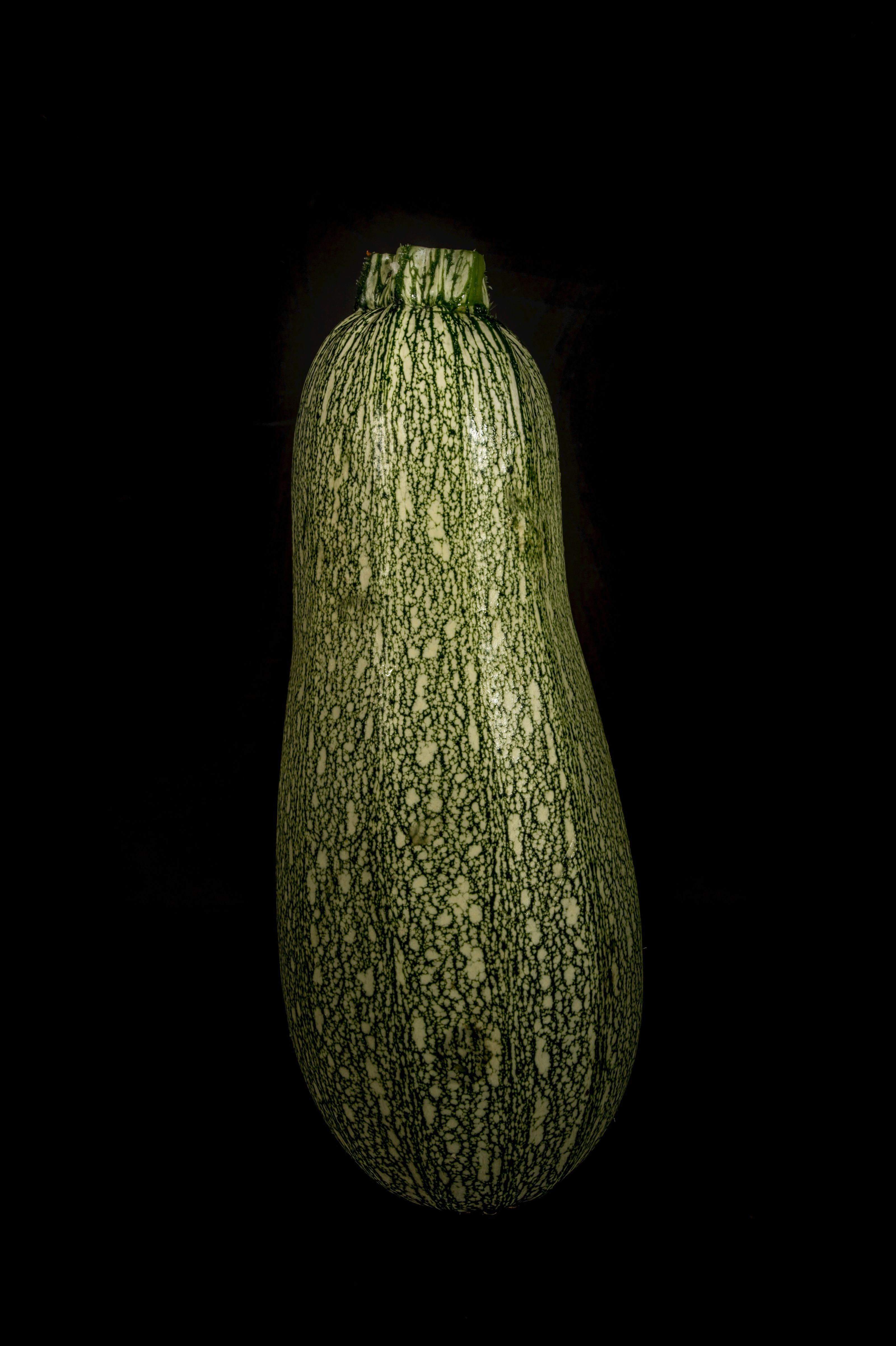 Squash Spectrum: The Ultimate Gardener's Guide to Different Types of Squash