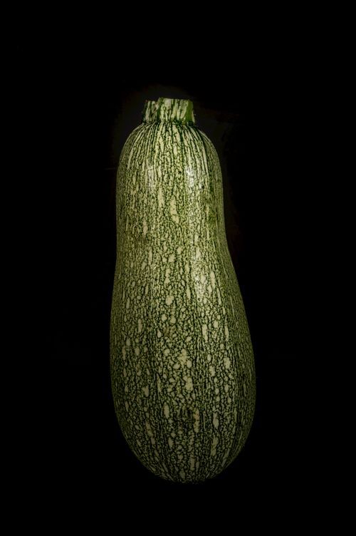 Squash Spectrum: The Ultimate Gardener's Guide to Different Types of Squash