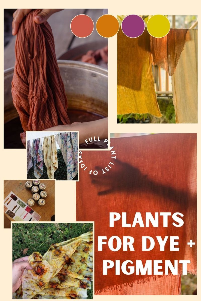 Dye Garden Layout Guide: Ideas for Growing Your Own Dyestuff
