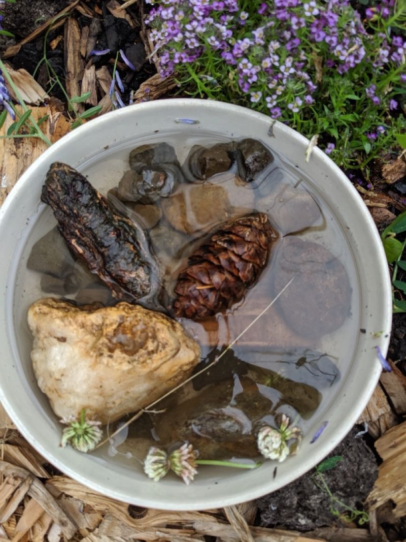 Bee Water Stations: an essential component of bee gardening