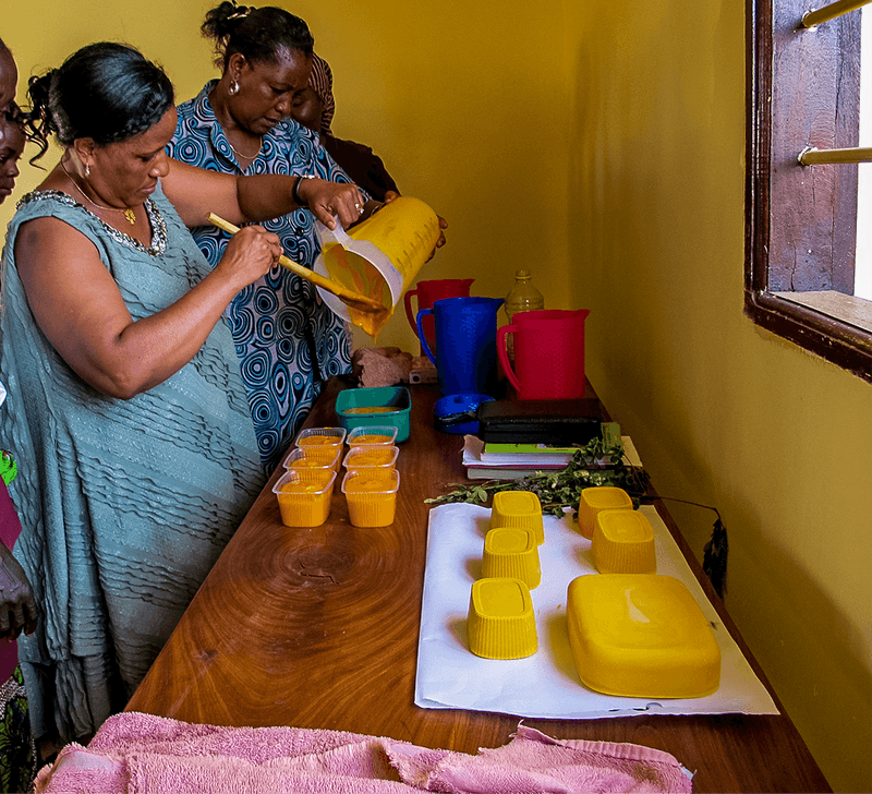 Food Processing and Value Addition