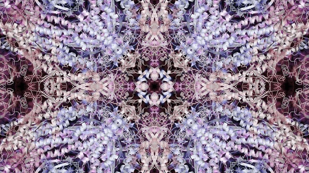 Laura Splan: Artist, Speaker, Collaborator | Art + Science + Technology