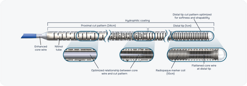 Aristotle 24 Guidewire | Scientia Vascular