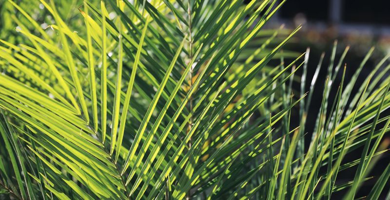 Dr. Amy Crary and Rebeca Viego | Aesthetic Dentistry of Stuart