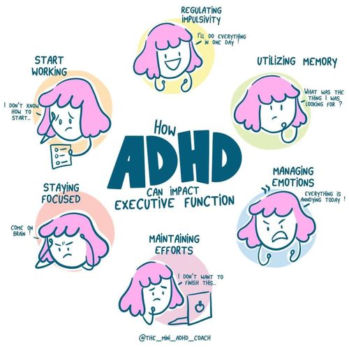 Executive Function & ADHD: What You Need to Know