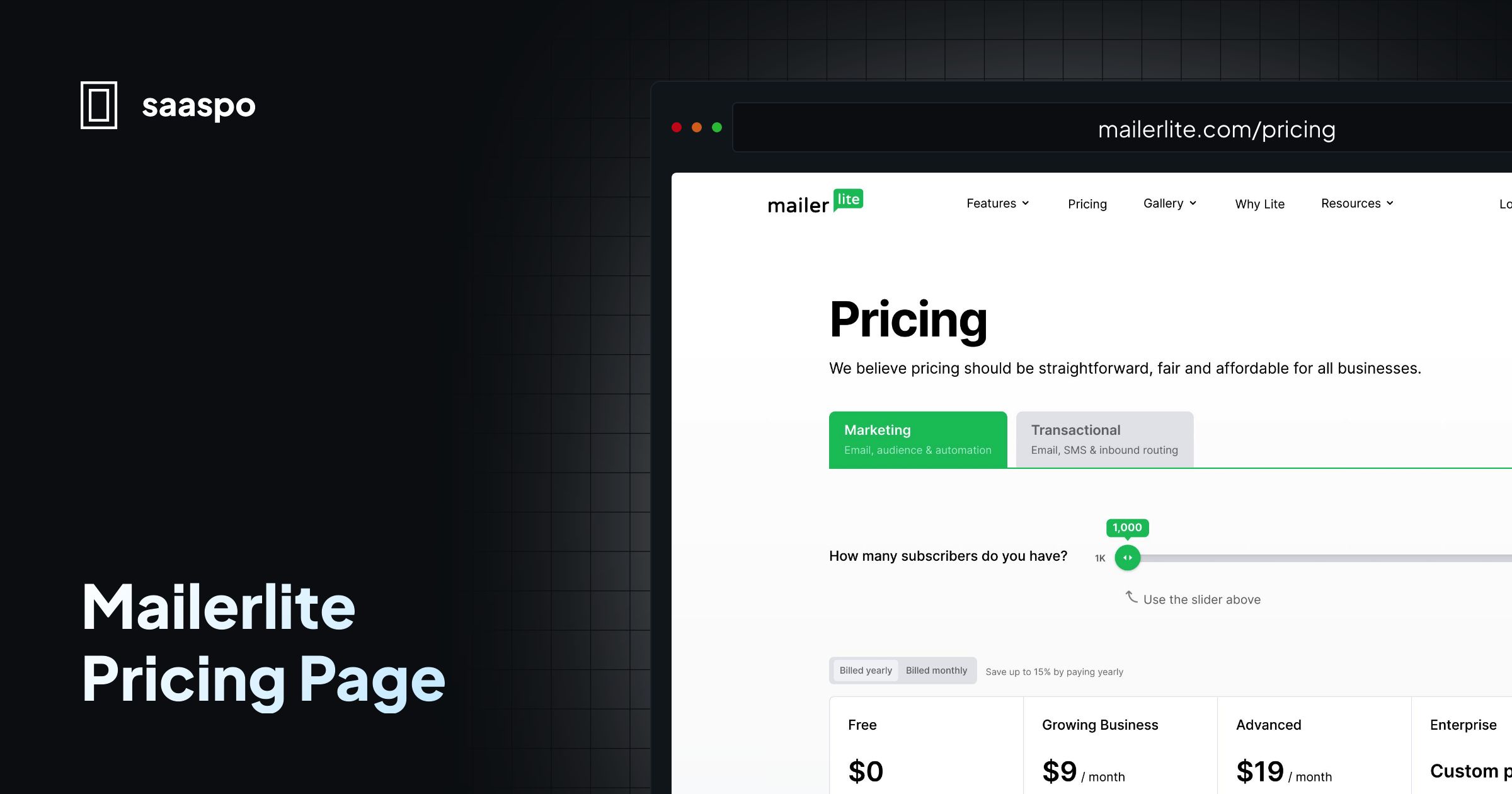 Saaspo | Mailerlite Pricing Page