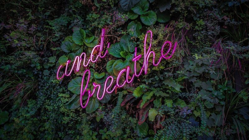 9 Tips for Leading a Group Guided Meditation Session