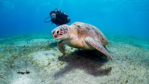 Welcome to Pemba Island - The Wanderer Tanzania