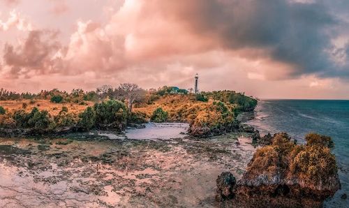 Welcome to Pemba Island - The Wanderer Tanzania