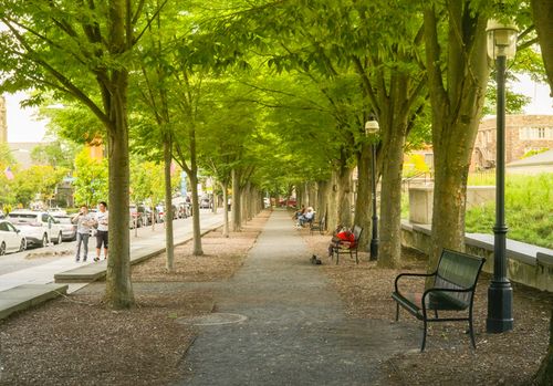 Visit Princeton | Experience Princeton