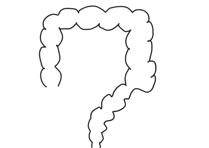 PRIMR | Signatera Test