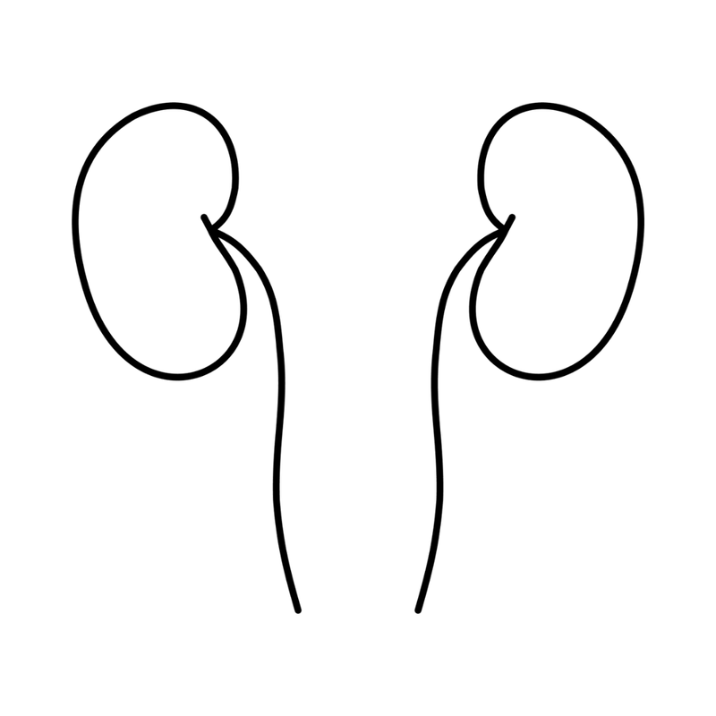 PRIMR | Decipher Prostate Genomic Test - Patient Video