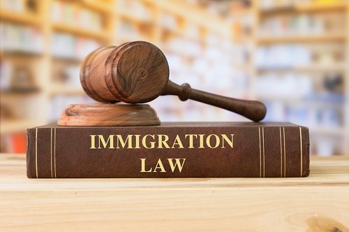 Understanding Illegal Immigrant Rights in the U.S.