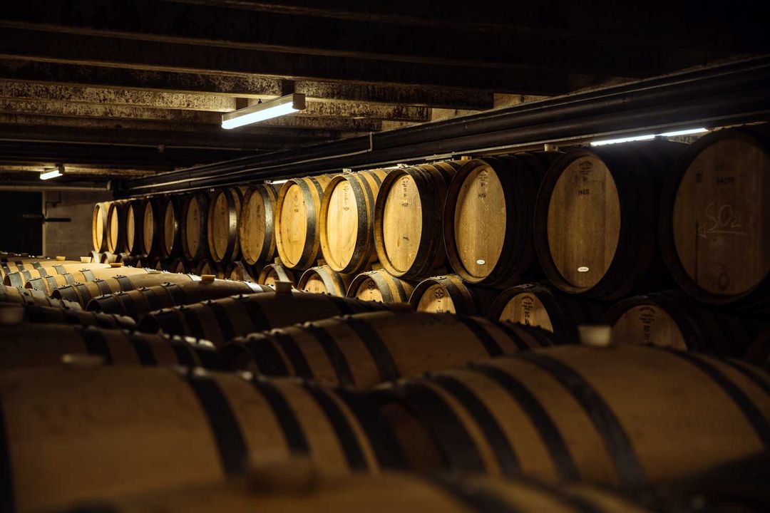 Wineries in Auckland