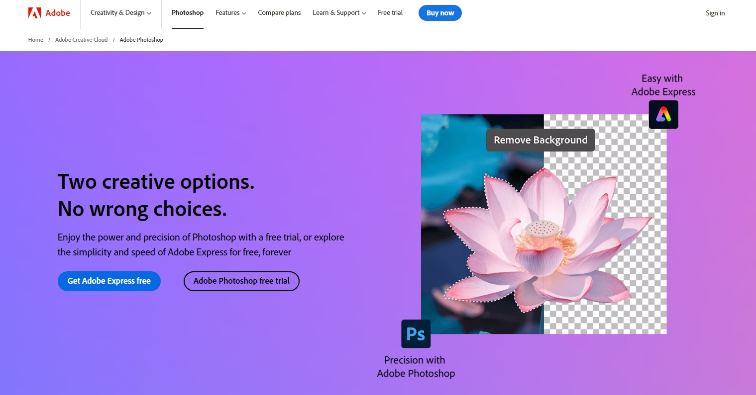 15 Best Graphic Design Software Everyone Should Know