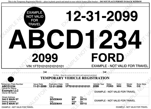 Temp tags: Hitting the road quickly after buying a vehicle in the USA ...