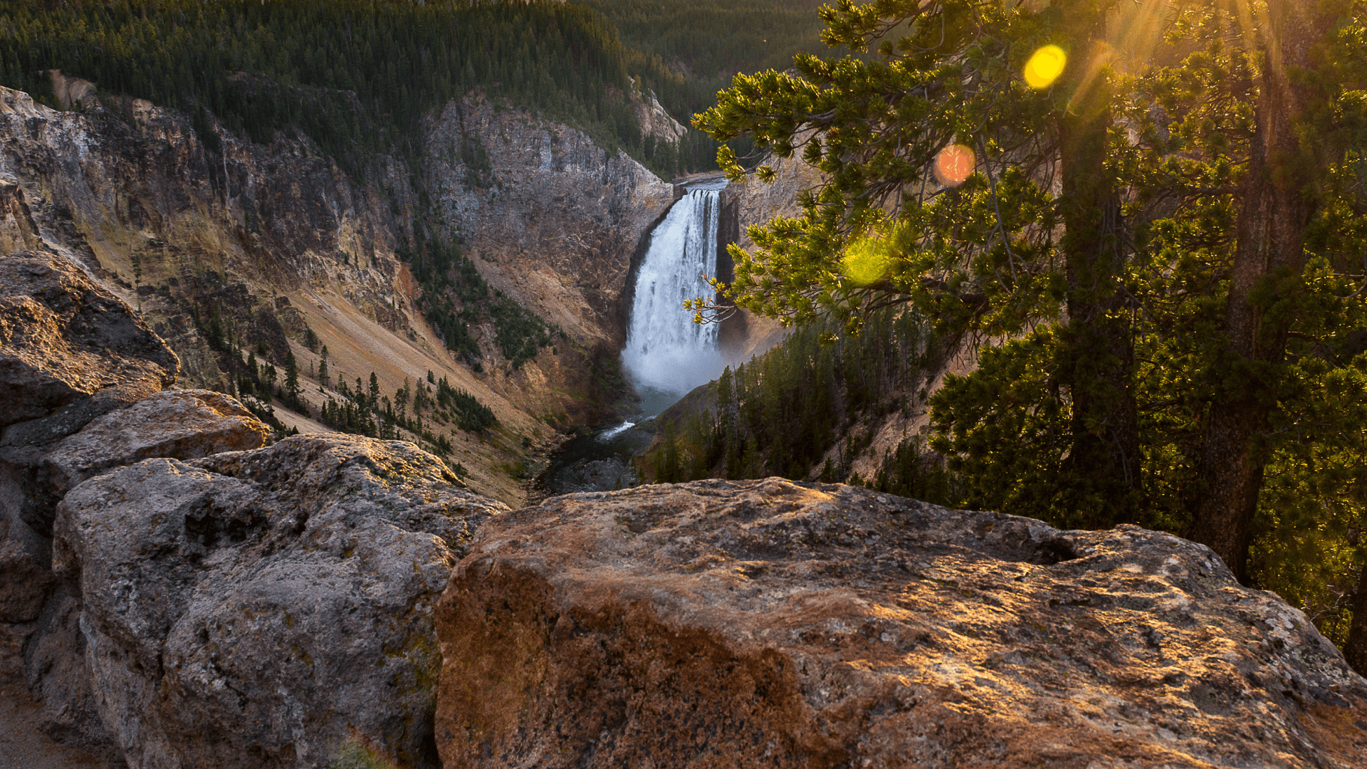 Plan Your Trip to Yellowstone - Your Ultimate Guide to Yellowstone ...