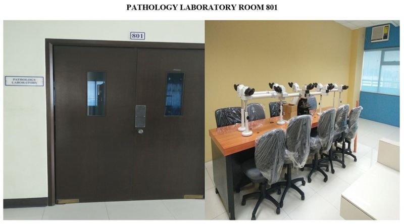 CGHC Official Website