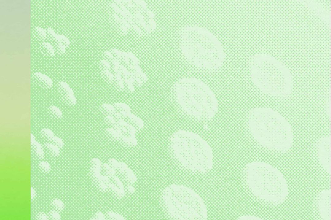 Evvy - Vaginal Microbiome Test & Care