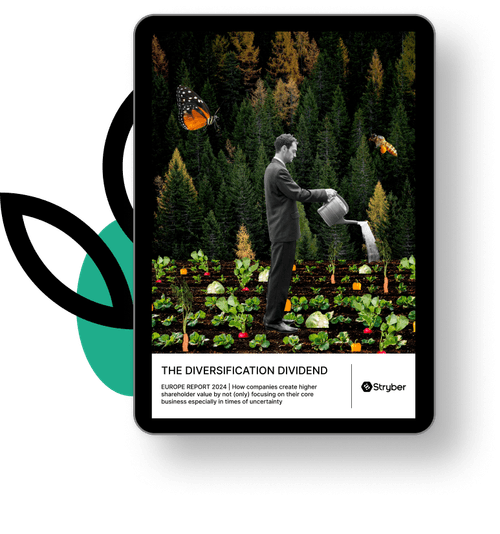 Stryber | We help established businesses grow