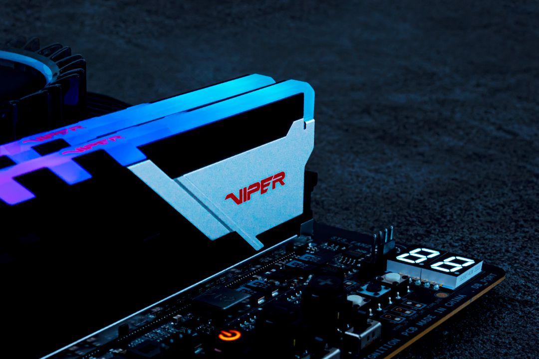 Viper Venom RGB & Non-RGB DDR5 Performance DRAM | Viper Gaming