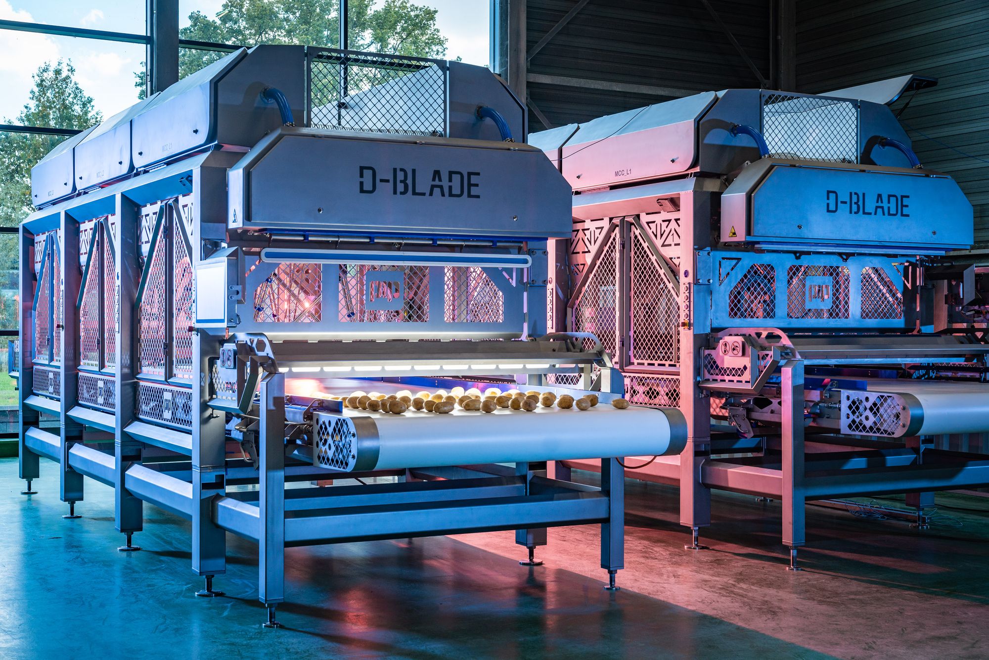 Topping / tailing carrots - PIP Innovations