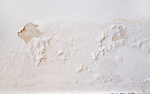 Why Does Paint Peel - Most Common Reasons | PPD Painting