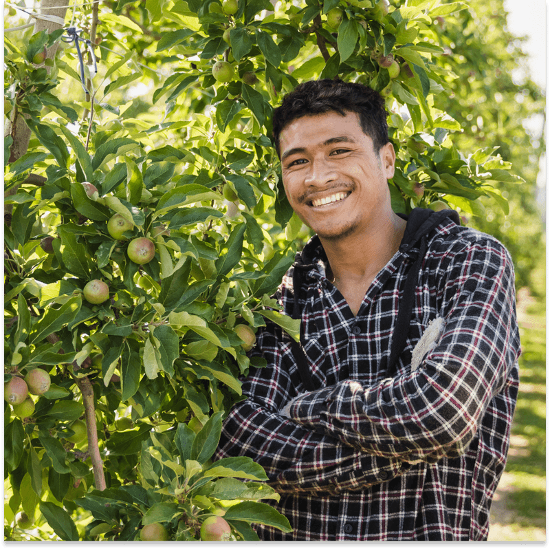 The Fresh Fruit Company of New Zealand