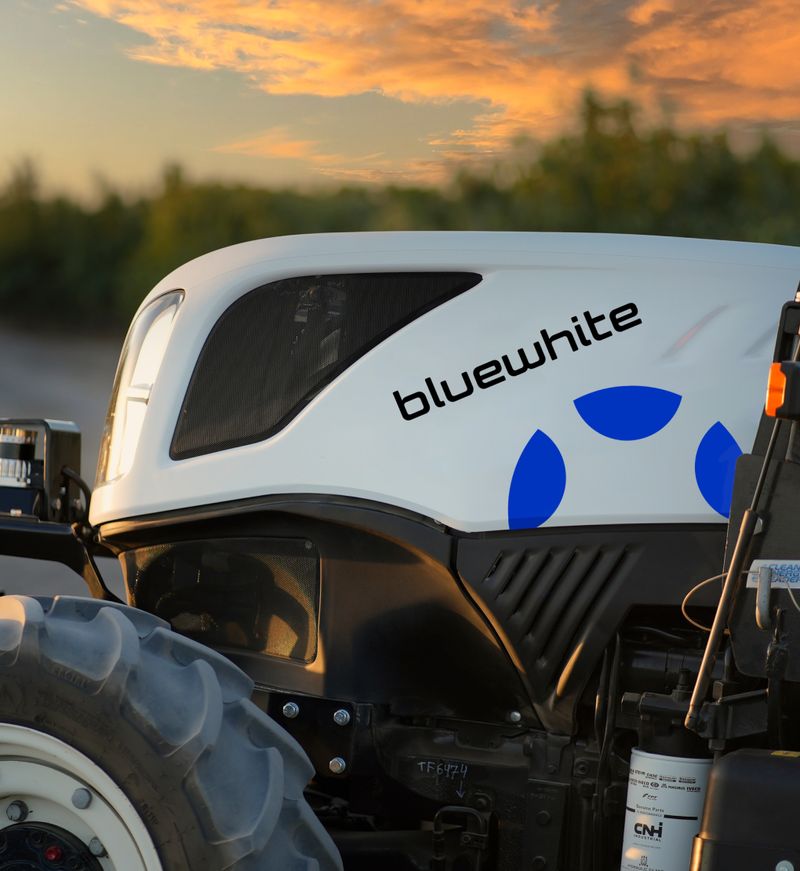 Bluewhite