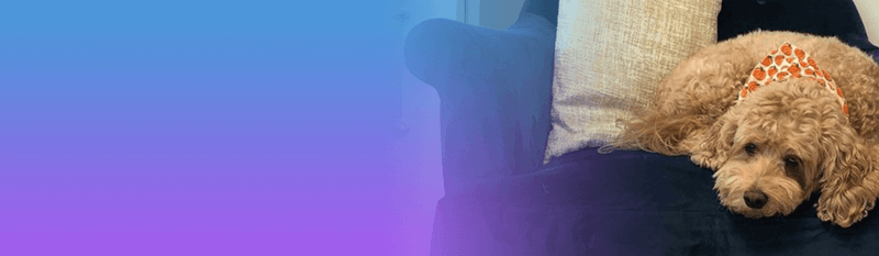 Our Team - Find Your Therapist Today | HOPE Therapy Group