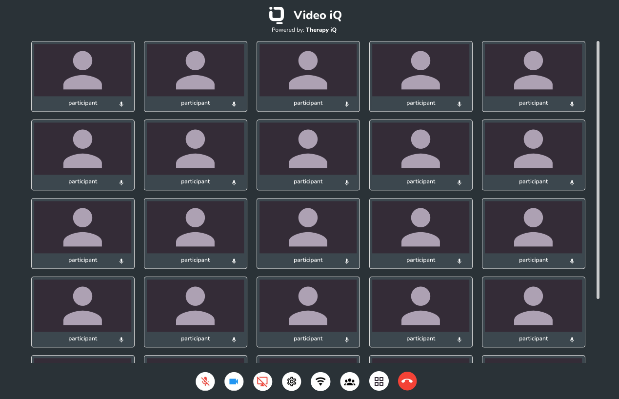 Understanding Video iQ gallery view mode - TiQ Help Center