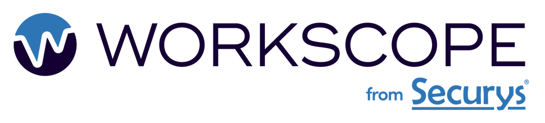 EUC & Spreadsheet Governance, Task Mining, Risk & Control