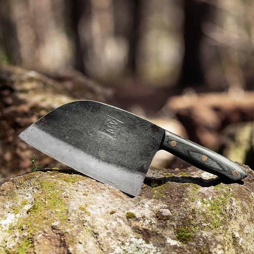 Buy 2 Get 2 FREE | Special Offer | Coolina