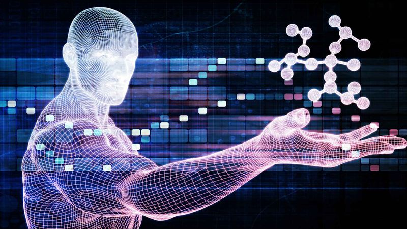 Independent Research Projects for High School Students