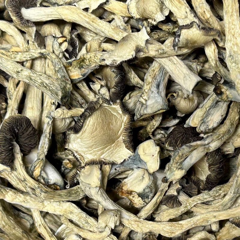 Menu - Mushrooms in Ann Arbor