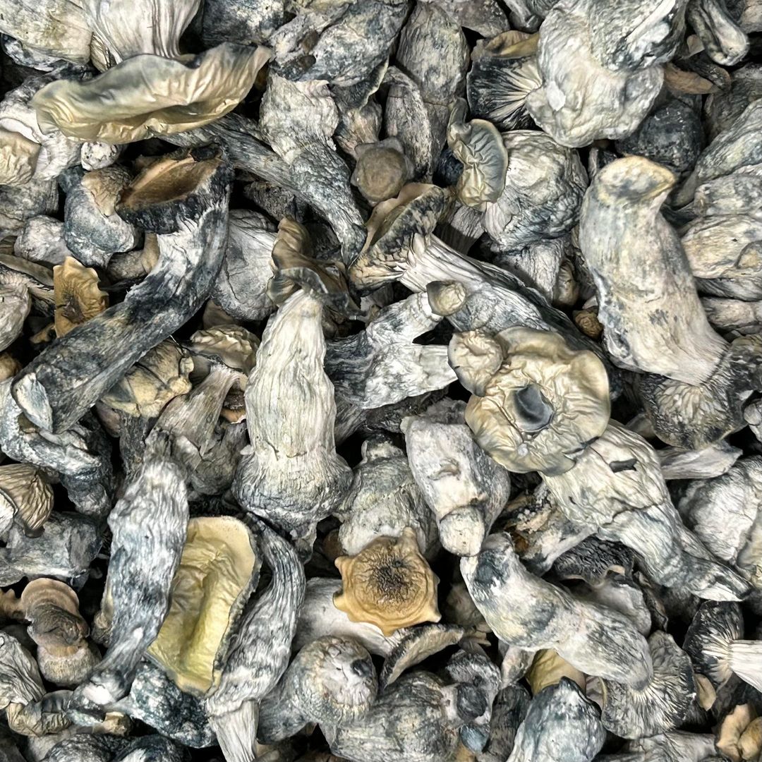 Menu - Mushrooms in Ann Arbor