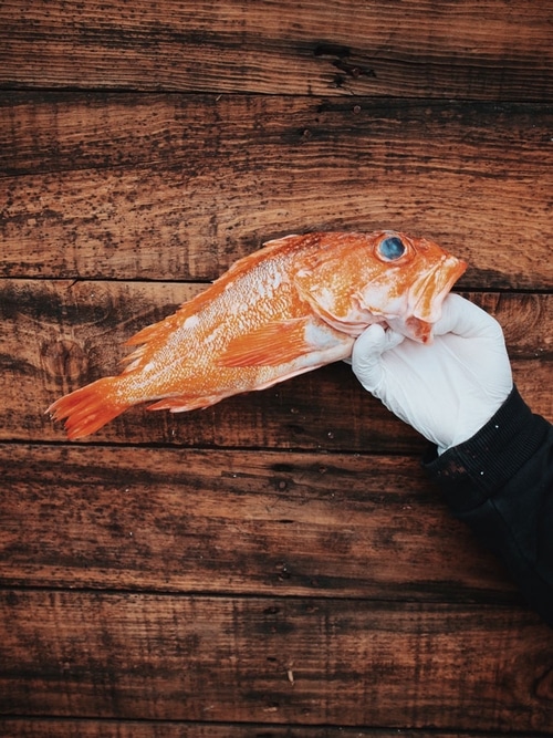 Home | H&H Fresh Fish | Santa Cruz, CA