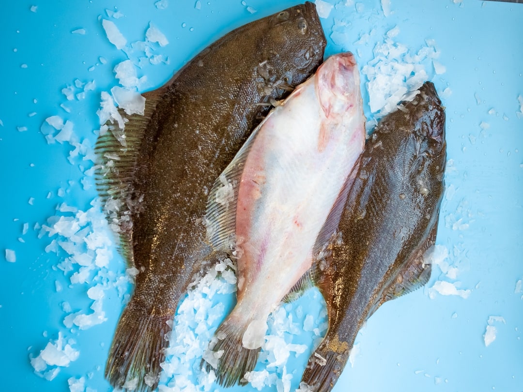Seafood Delivery | H&H Fresh Fish | Santa Cruz, CA