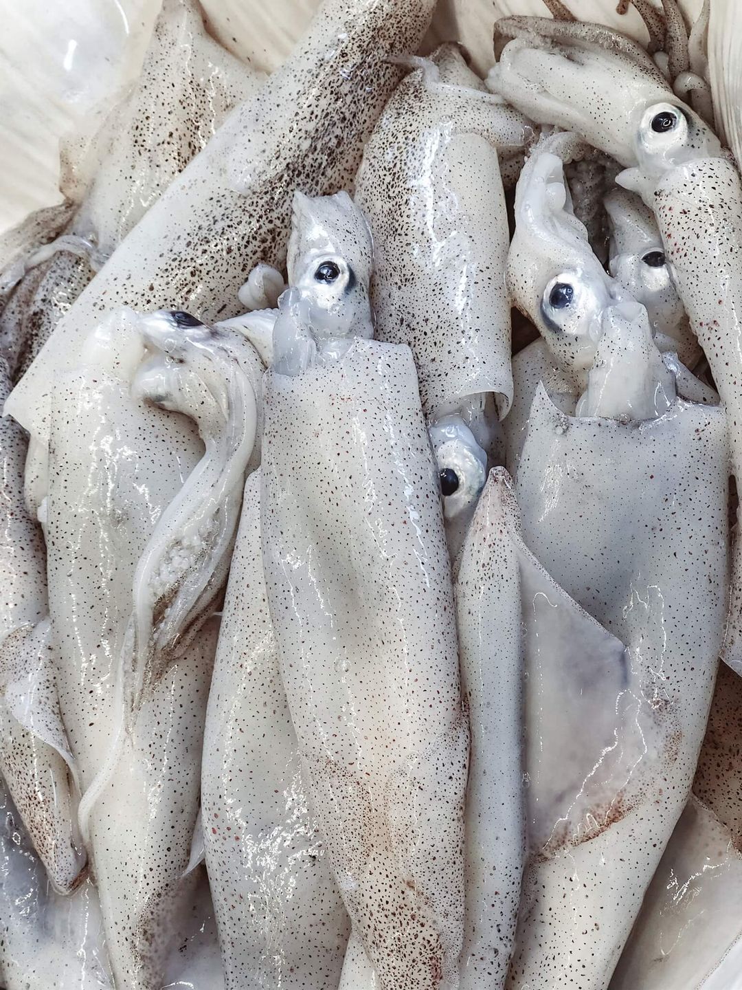 Current Selection | H&H Fresh Fish | Santa Cruz, CA
