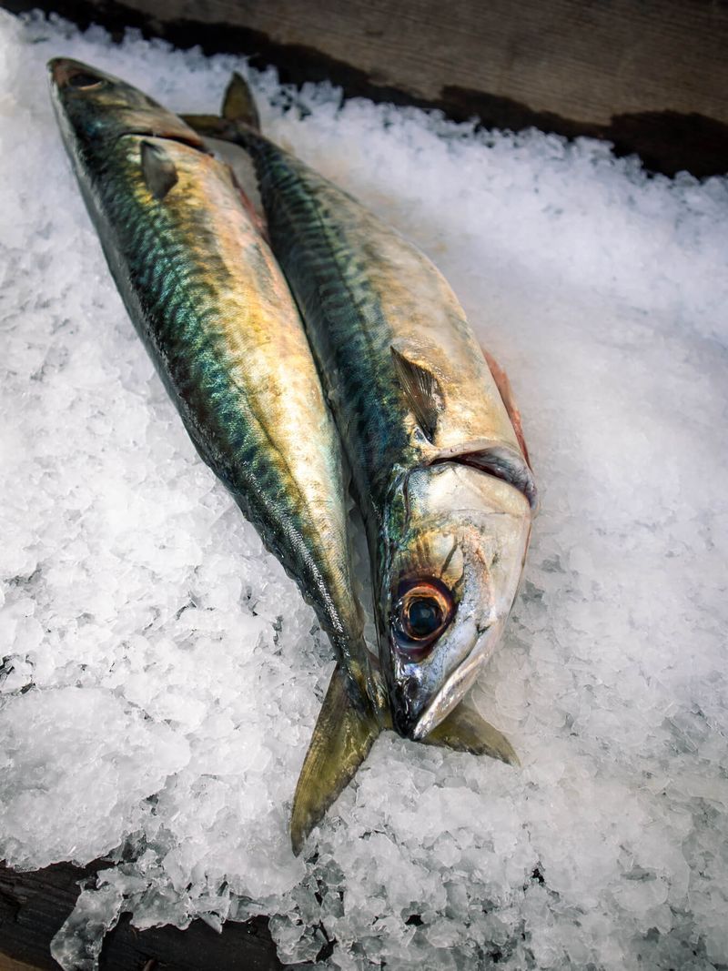Current Selection | H&H Fresh Fish | Santa Cruz, CA