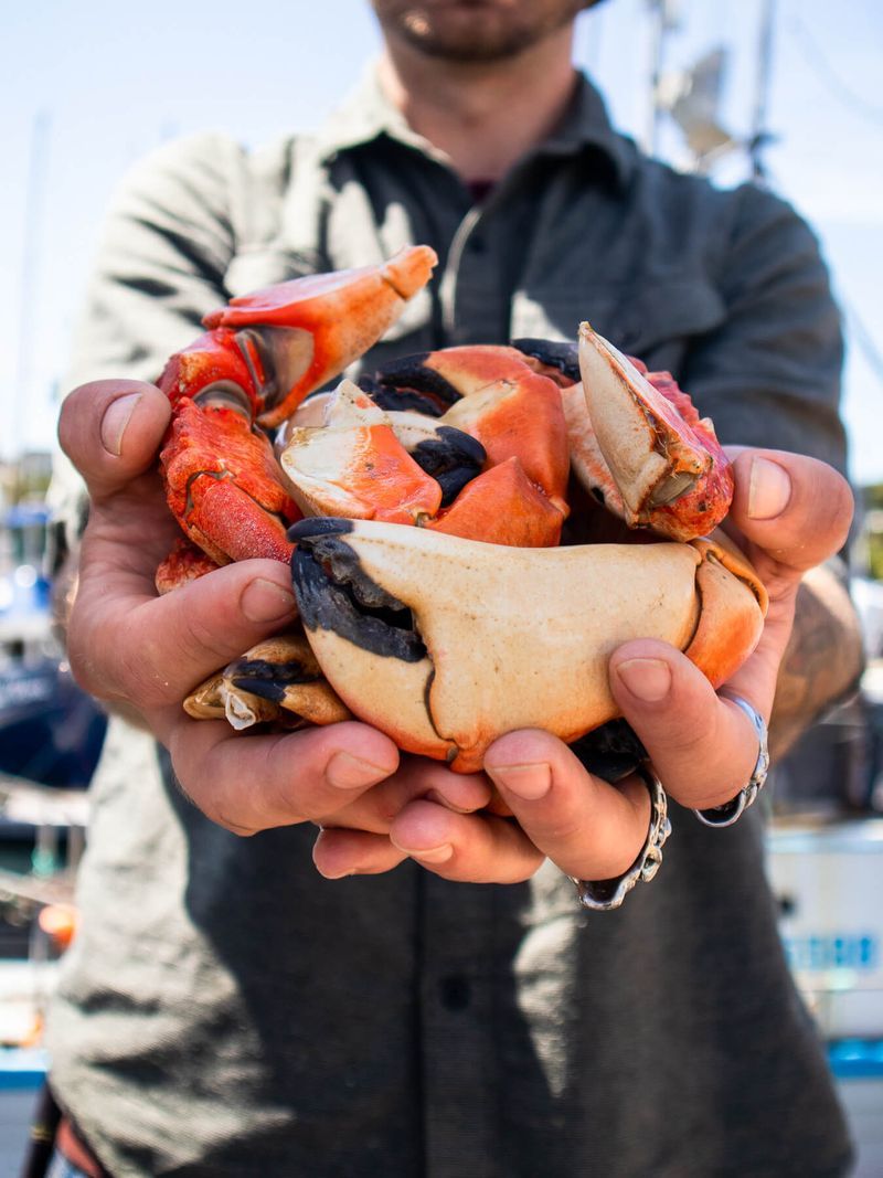 Seafood Delivery | H&H Fresh Fish | Santa Cruz, CA