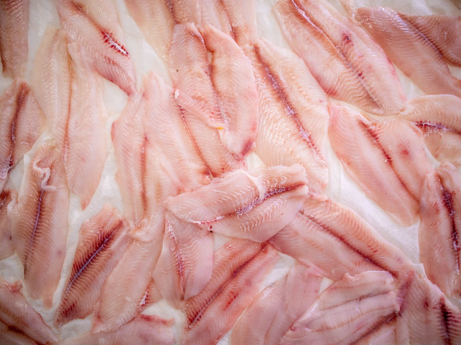 Current Selection | H&H Fresh Fish | Santa Cruz, CA