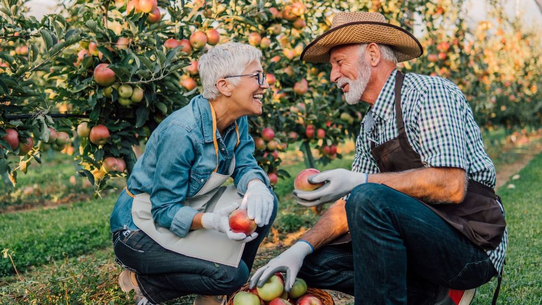 What Is A Qualified Longevity Annuity Contract (QLAC)?