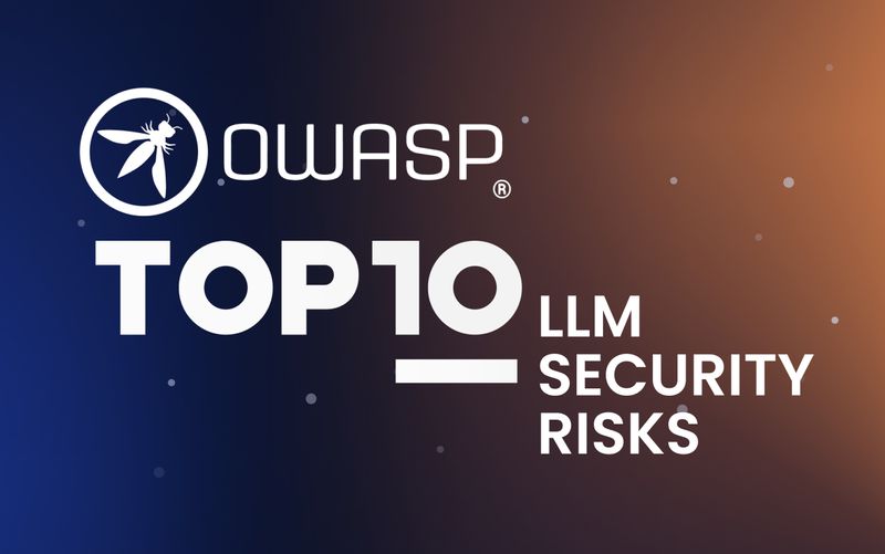 LLM OWASP Top 10 Security Risks and How to Prevent Them
