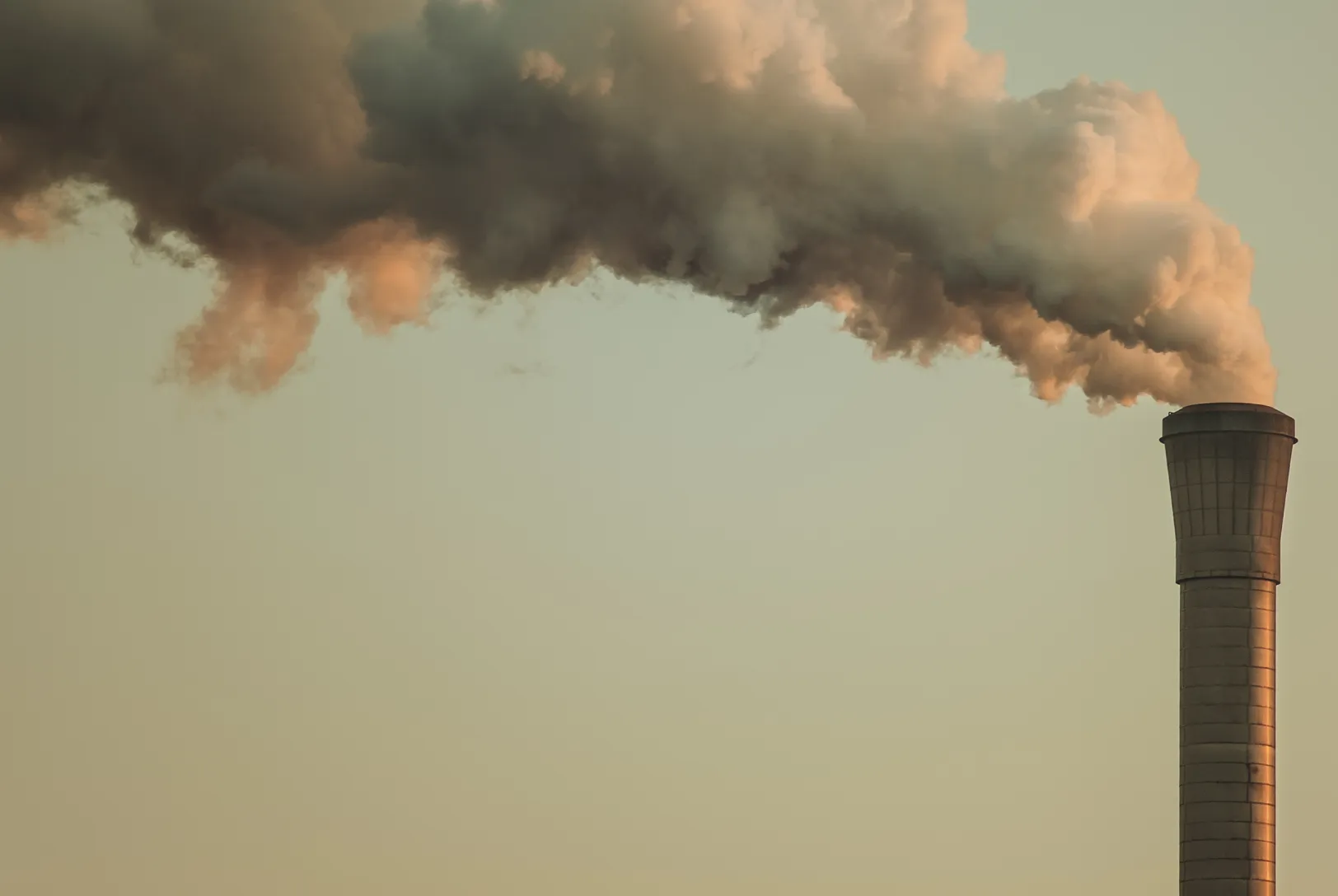 Article : On décrypte l’objectif 2 tonnes : pourquoi et comment faire ...