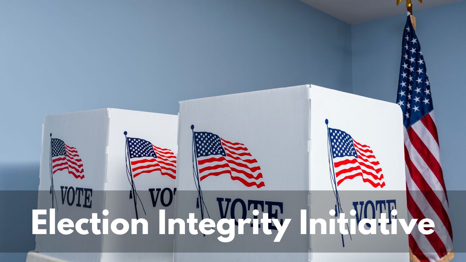 Election Integrity Initiative