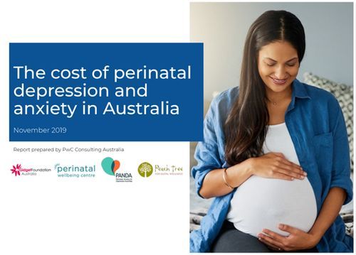 Screening and Assessment for PNDA